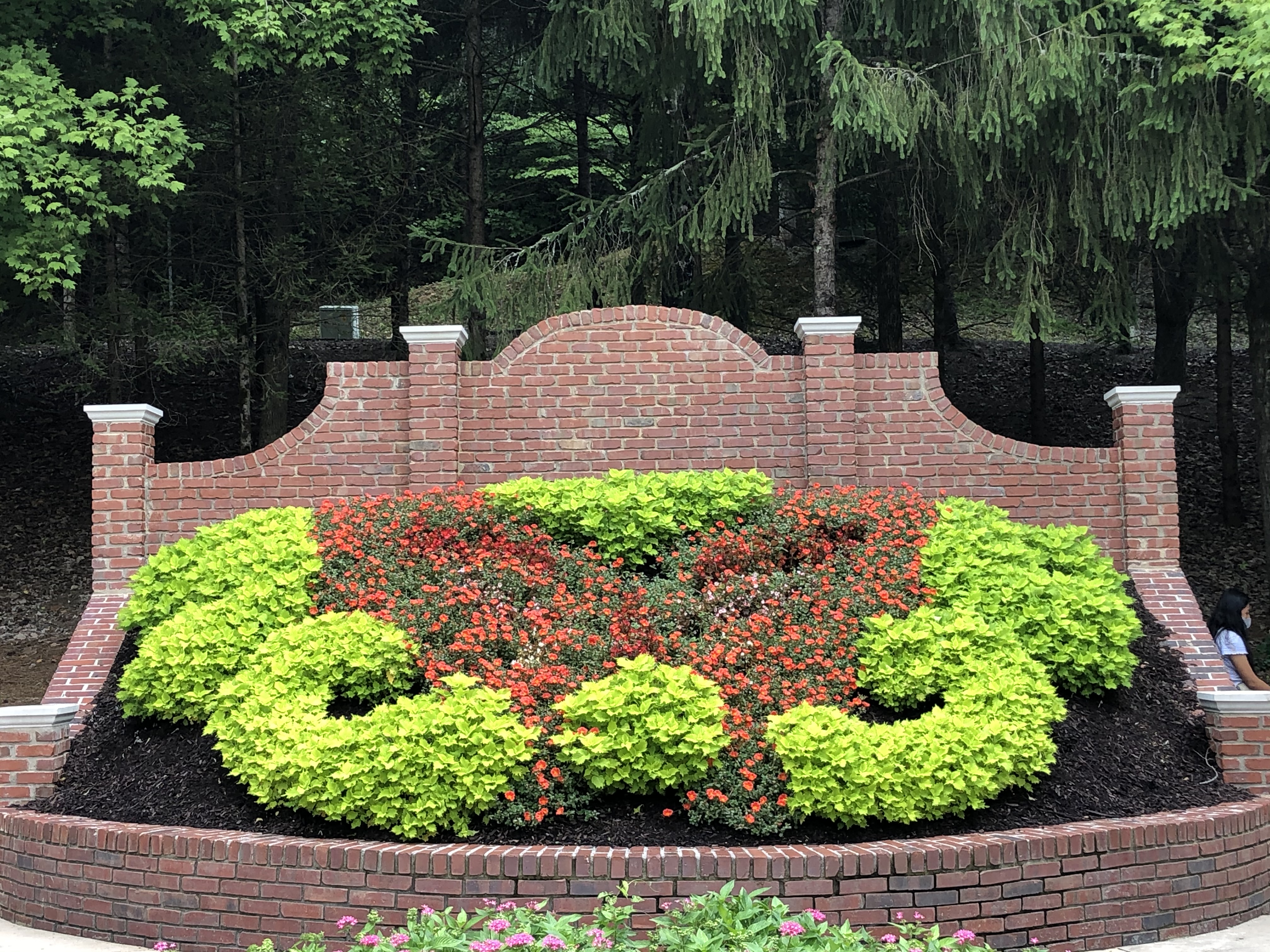 Dollywood – Family Travel Adventures LLC