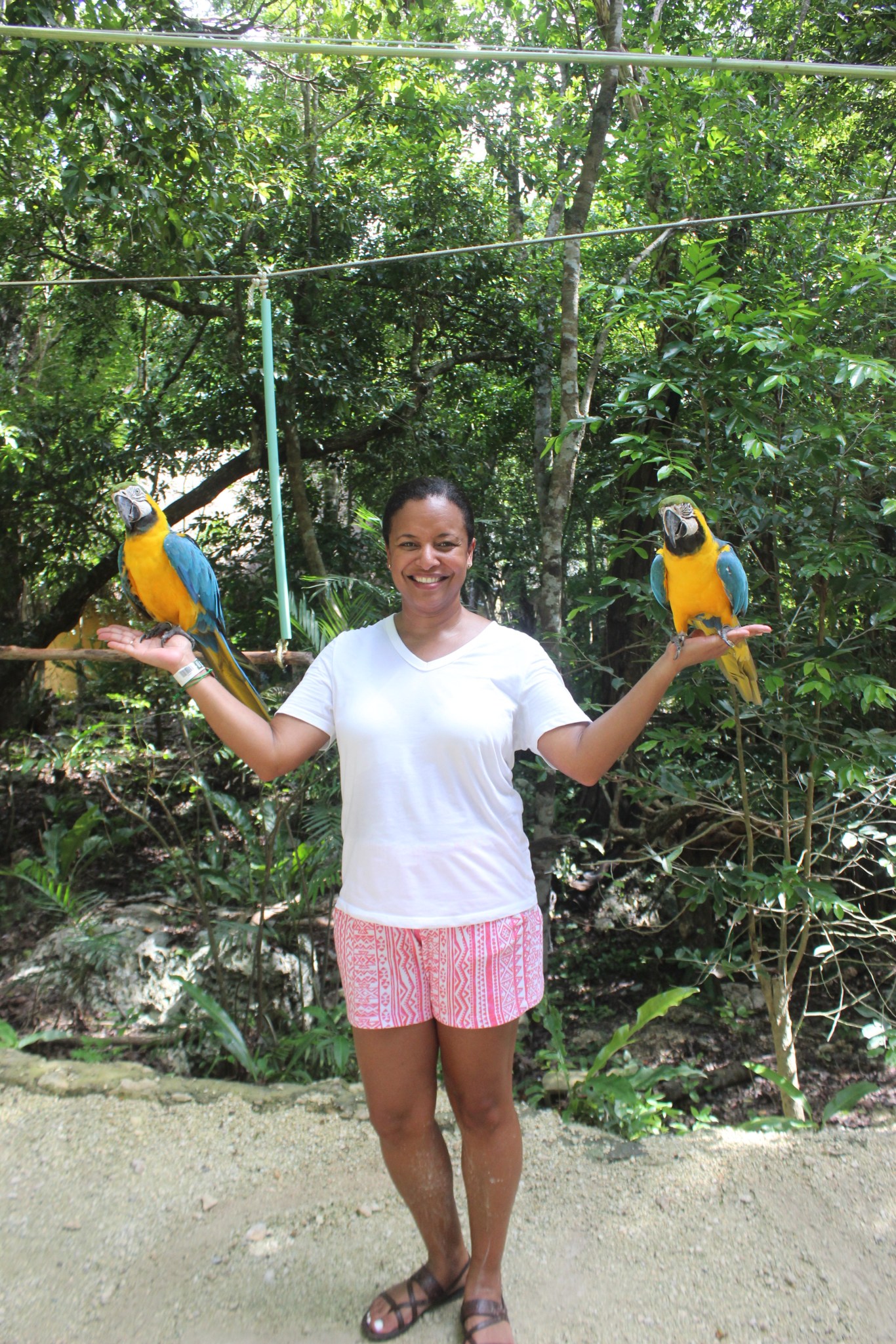 Akumal Monkey Sanctuary & Rescued Animals – Family Travel Adventures LLC