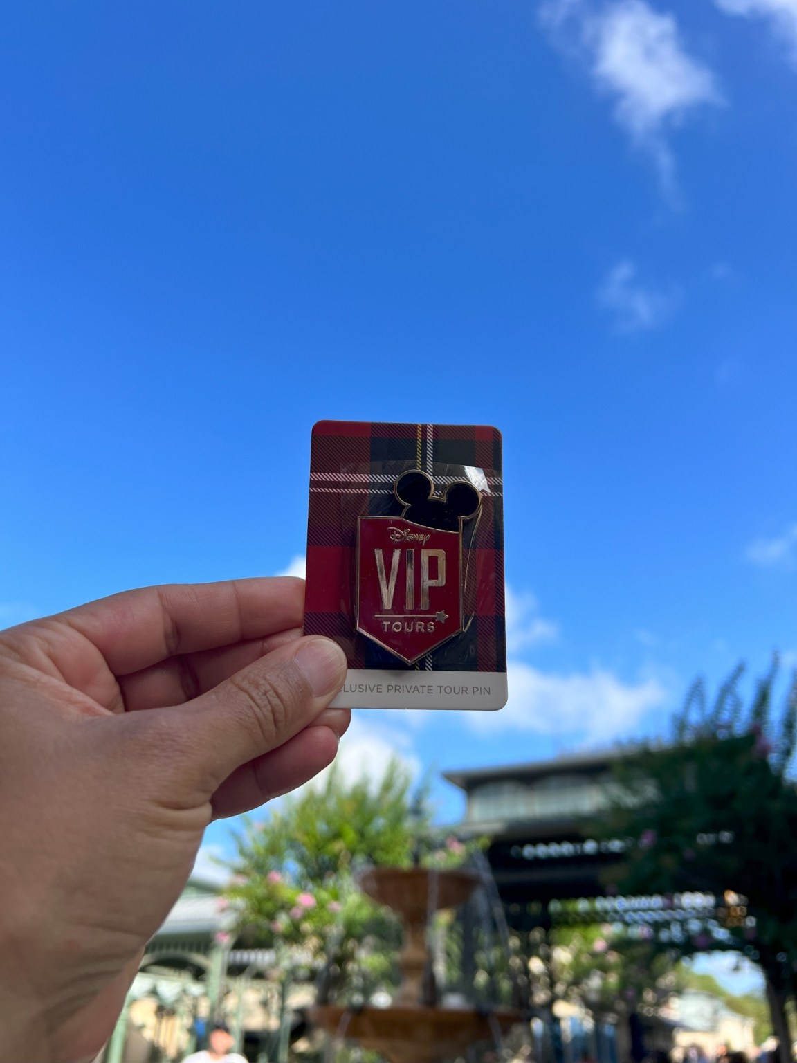 Disney VIP Tours – Family Travel Adventures LLC